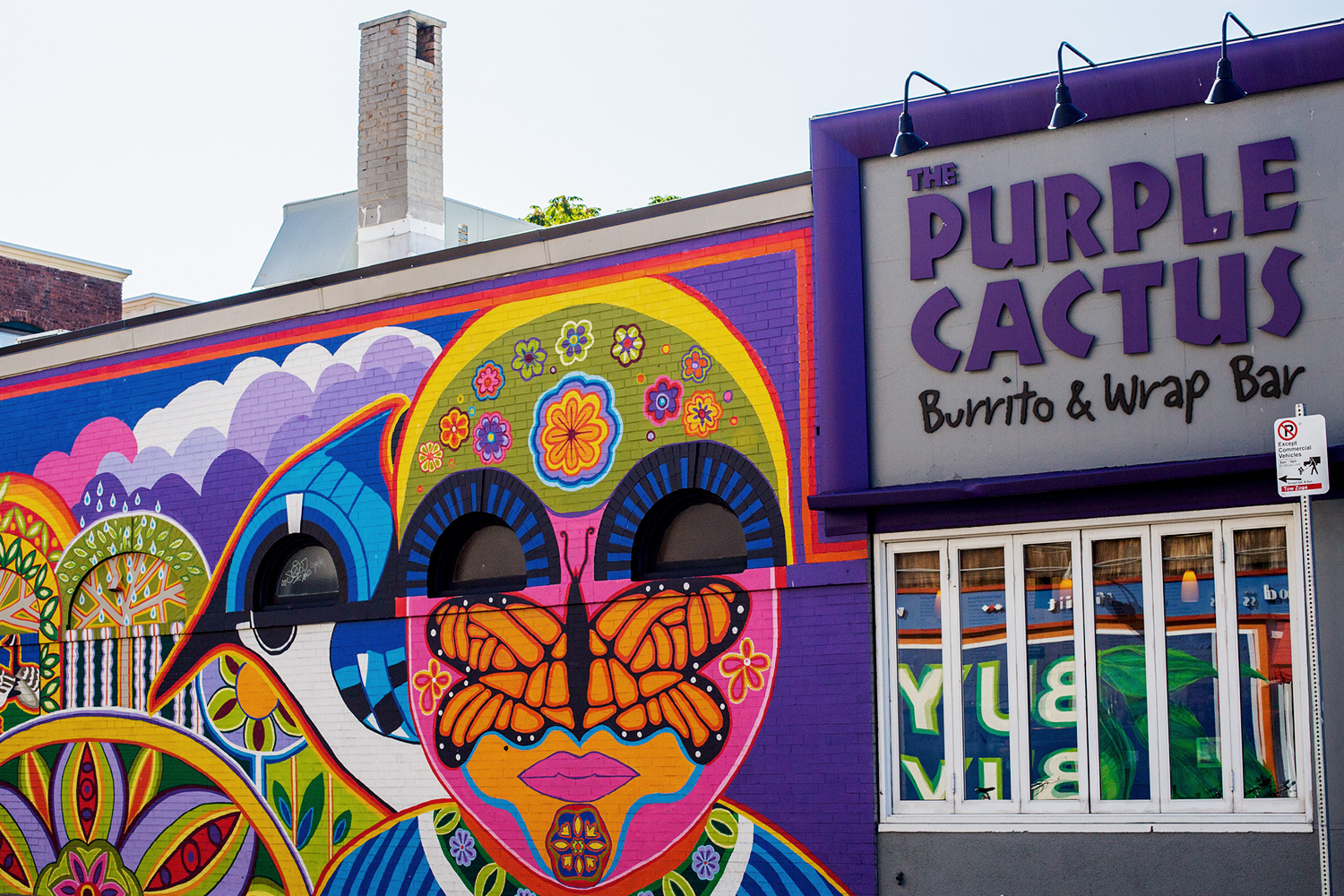 We Recently Launched The Purple Cactus Website! - Metropolis Creative ...